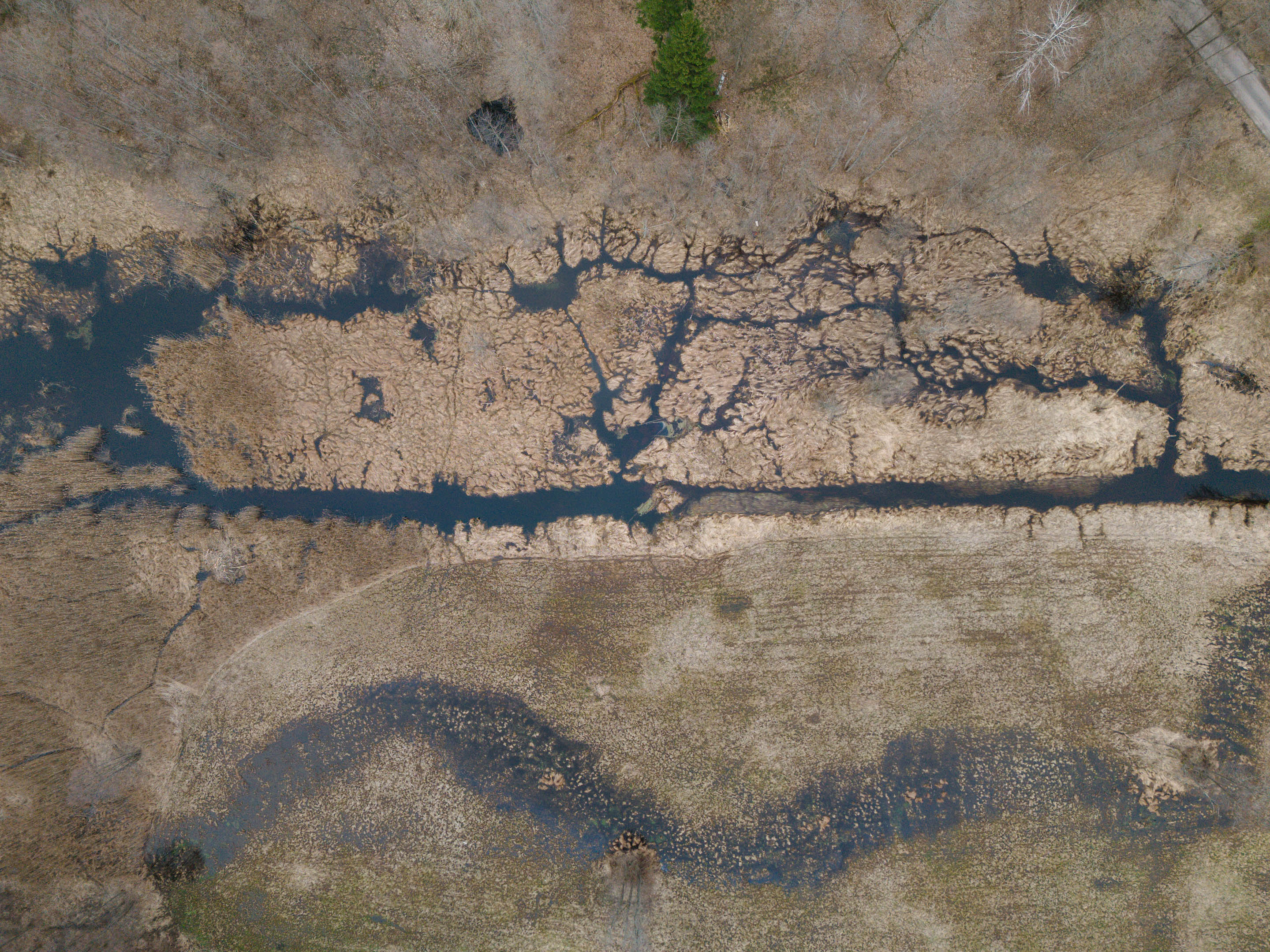 Beaver project - map of signs of beavers – Tom Diserens
